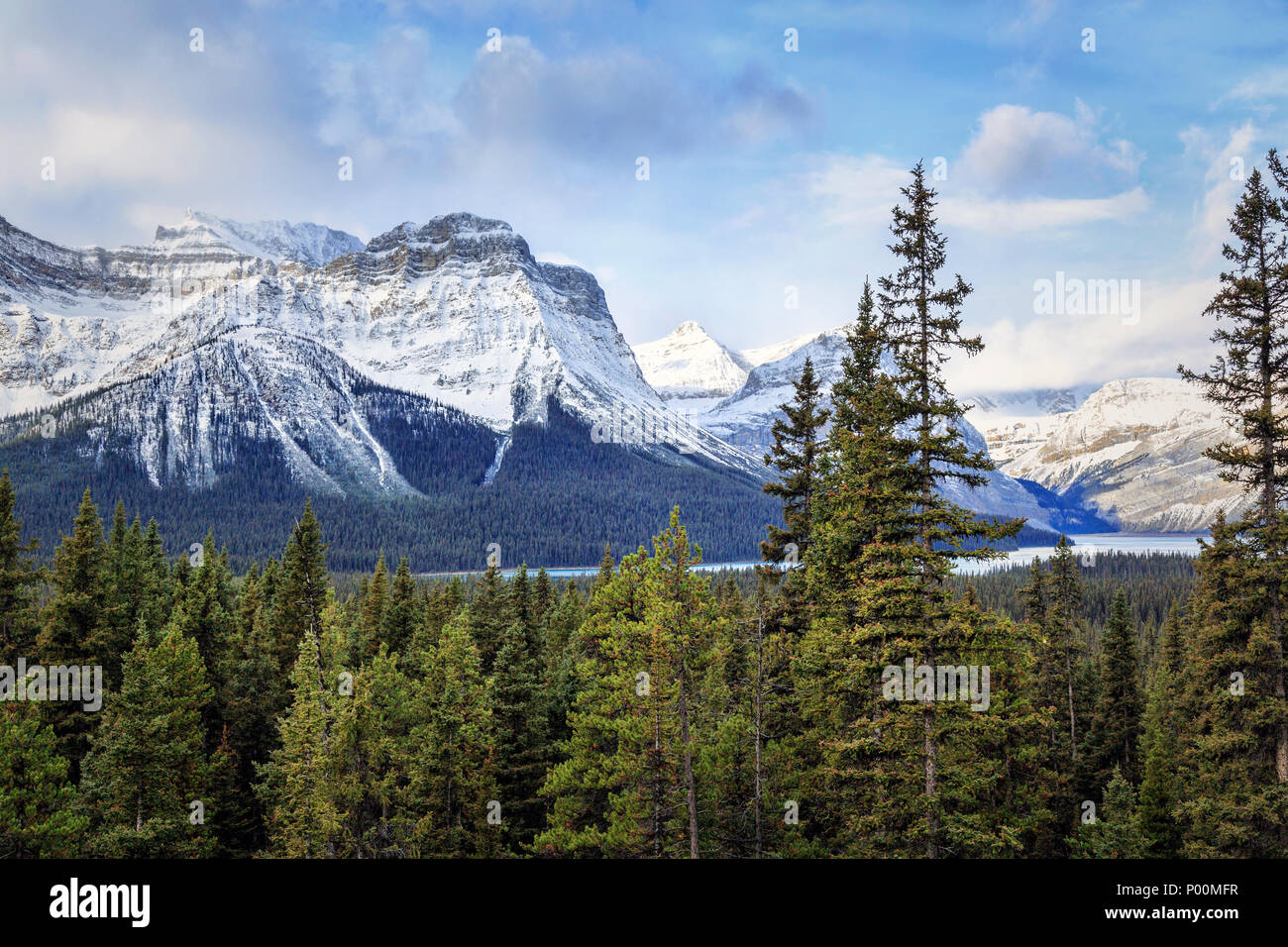 Hector Lake, Banff National Park, Canada Stock Photo - Alamy