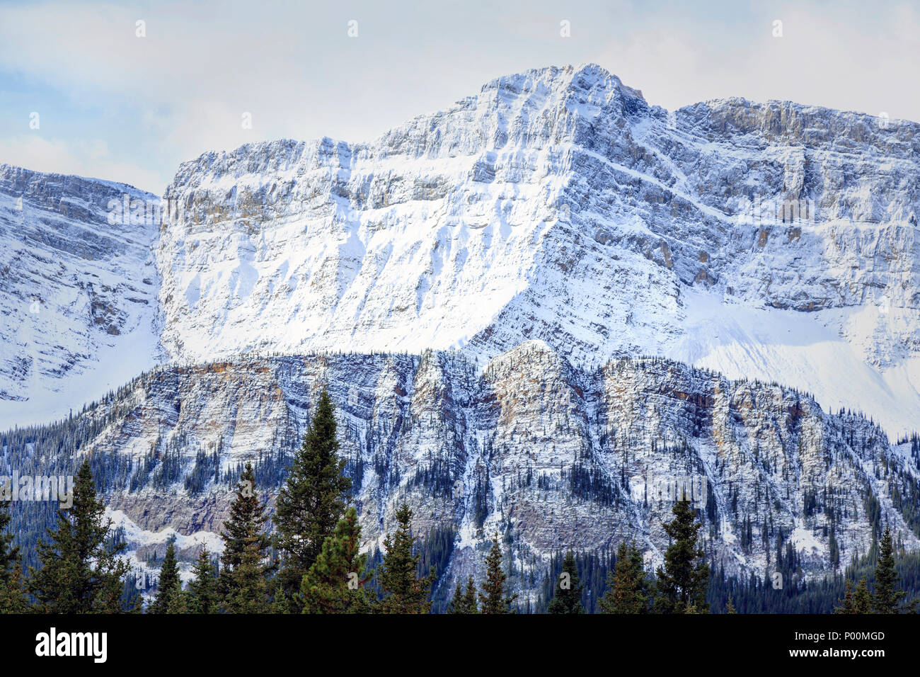 Mountains at Hector Lake, Banff National Park, Canada Stock Photo - Alamy