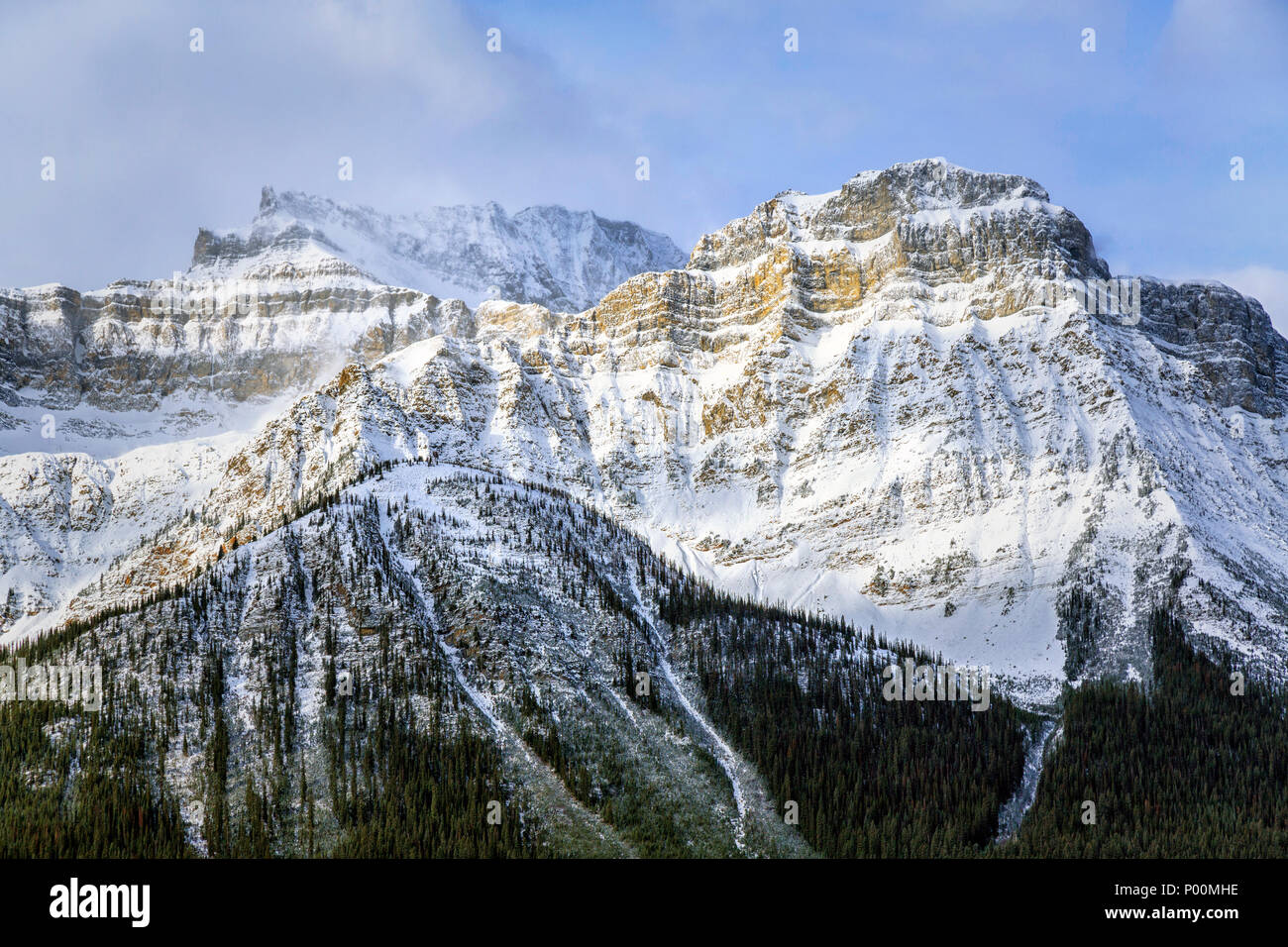 Mountains at Hector Lake, Banff National Park, Canada Stock Photo - Alamy