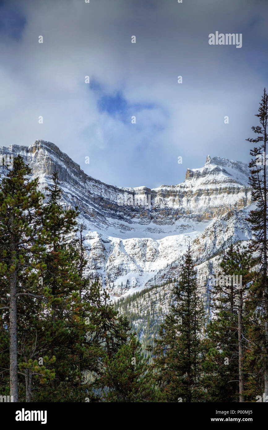 Mountains at Hector Lake, Banff National Park, Canada Stock Photo - Alamy