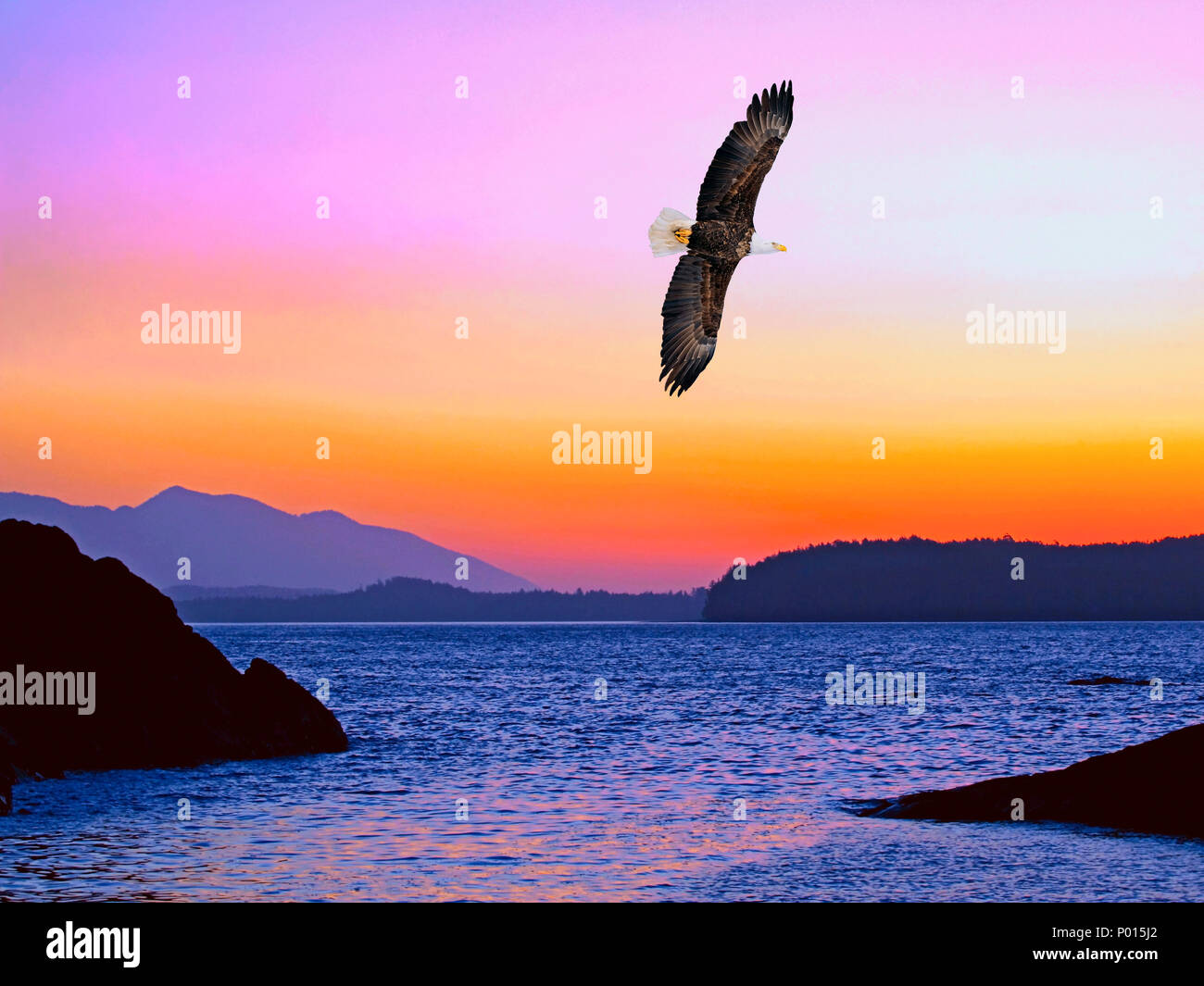 Soaring Eagle Sunset