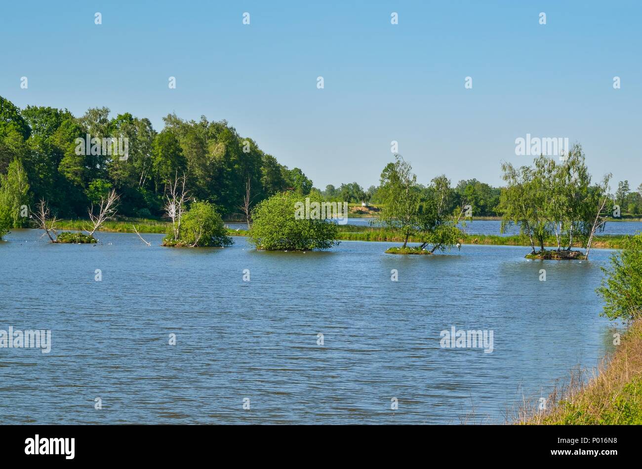 Each day color hi-res stock photography and images - Alamy