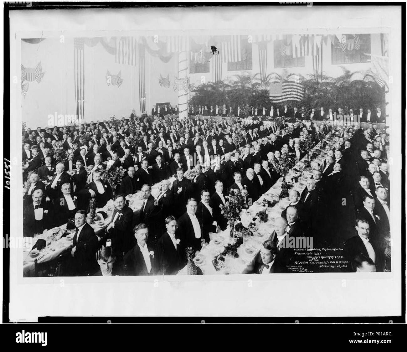 William taft possum hi-res stock photography and images - Alamy