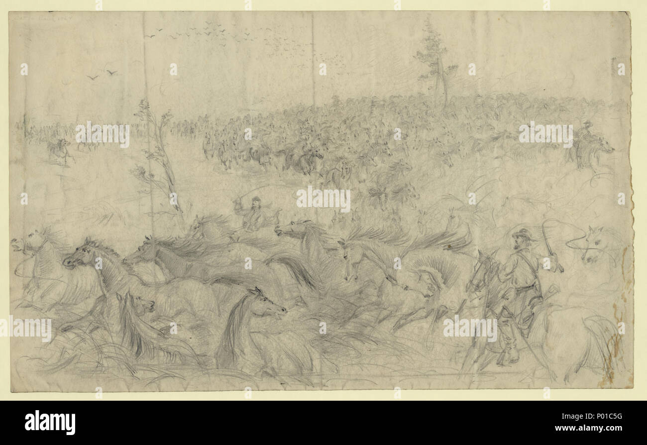 . English: Title: A stampede of army horses Abstract/medium: 1 drawing ...