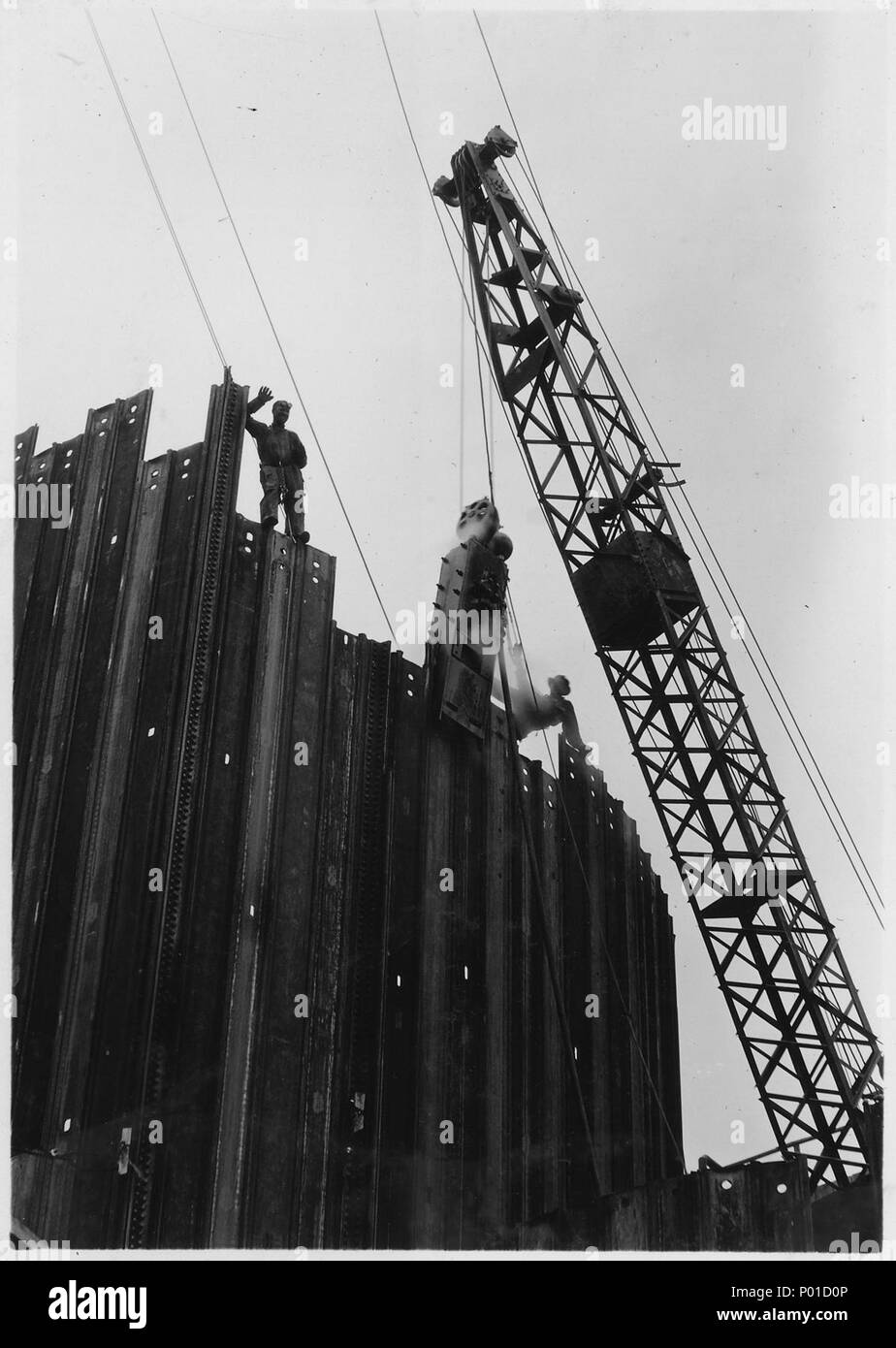 Putting down steel sheet piling in cofferdam cells Stock Photo - Alamy