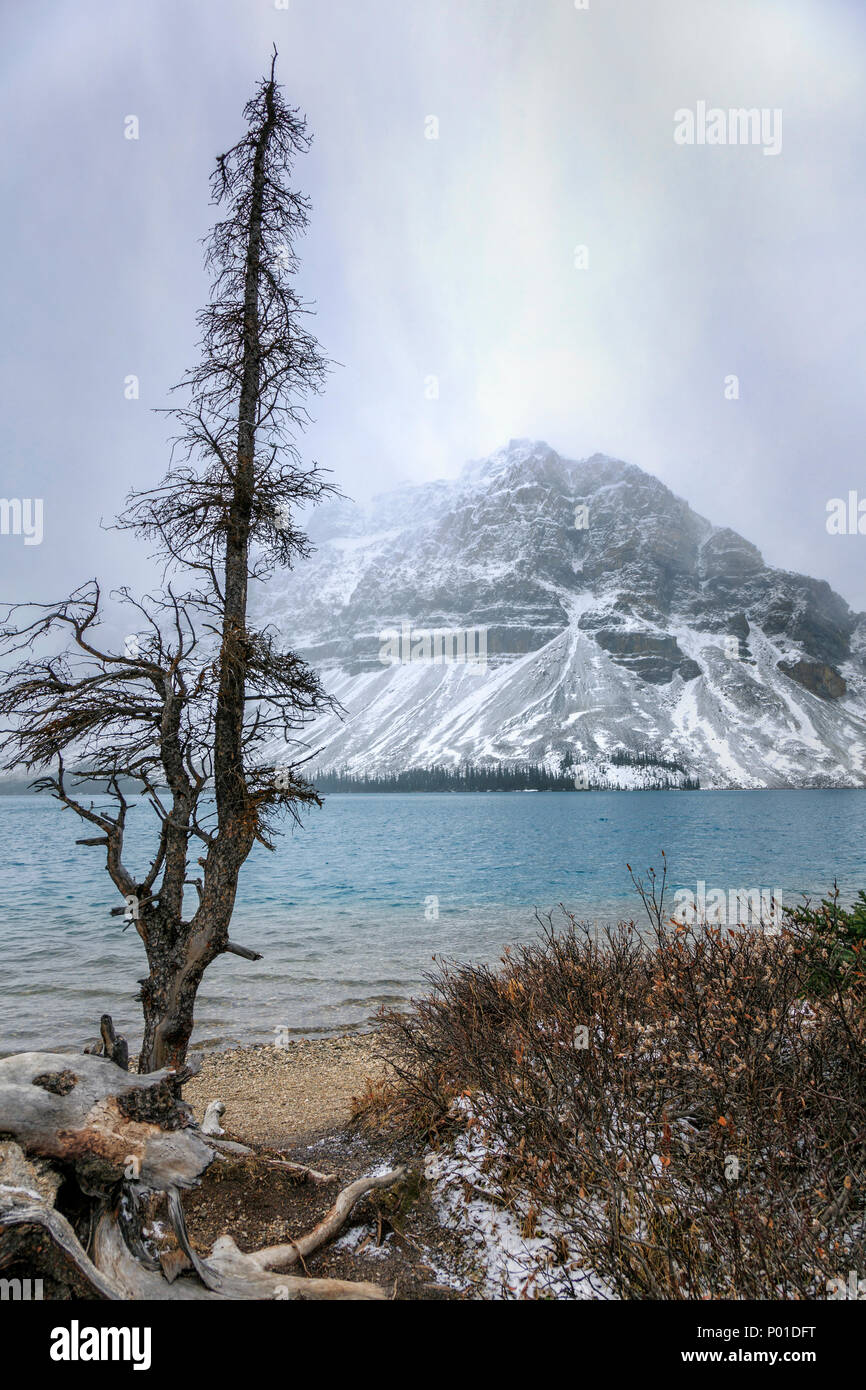 Bow Lake, Banff National Park, Canada Stock Photo - Alamy