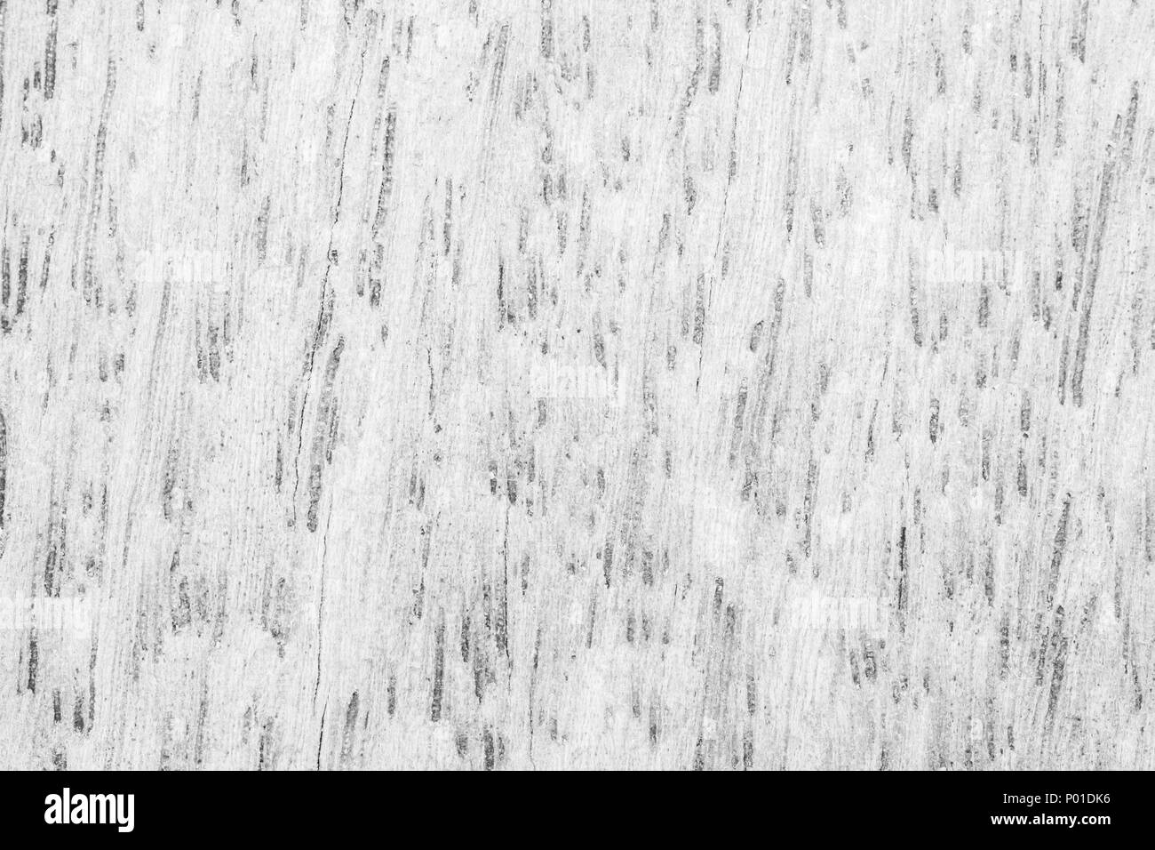 Abstract rustic surface white wood table texture background. Close up ...