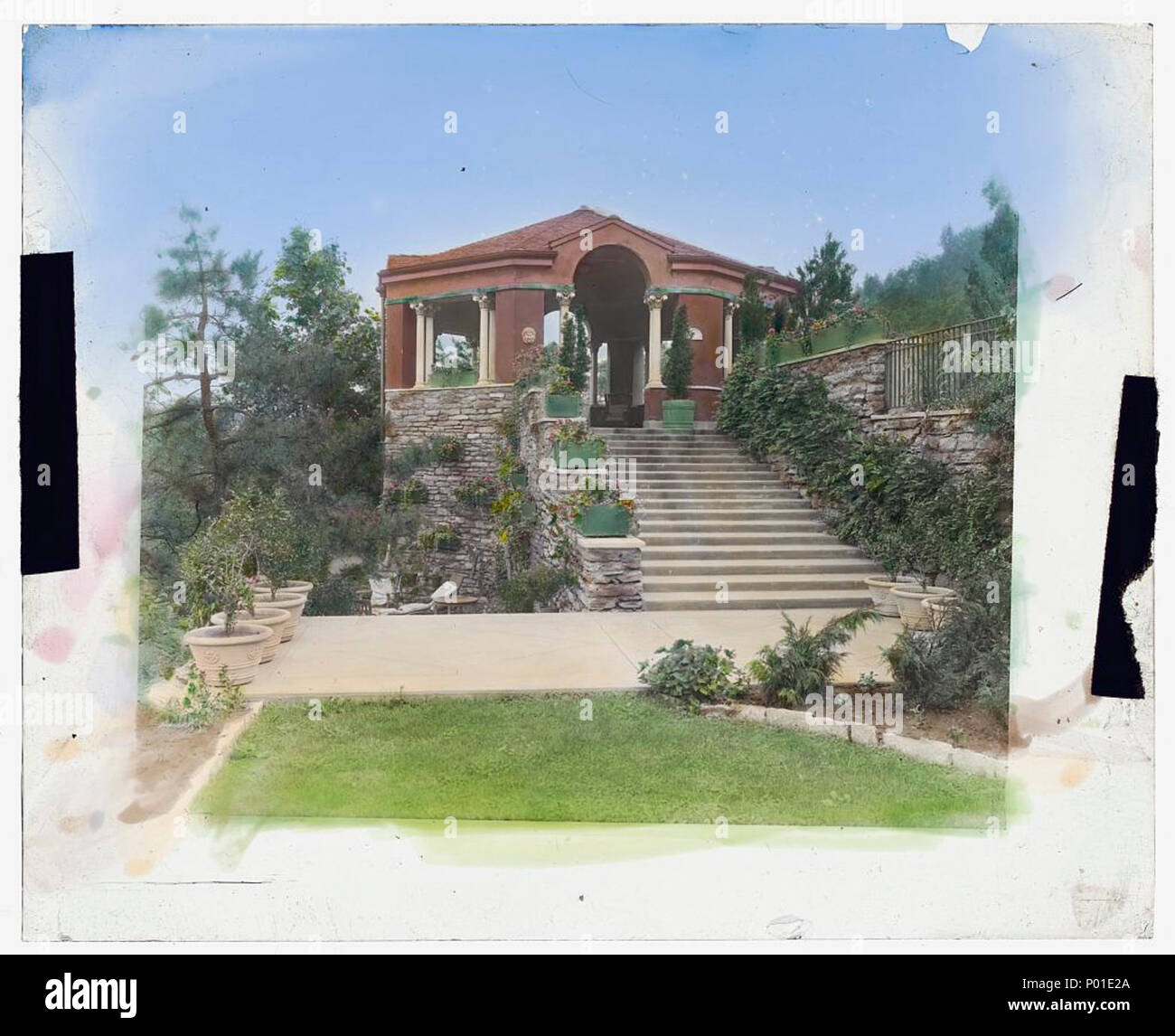 Pennsylvania pine tree hi-res stock photography and images - Alamy