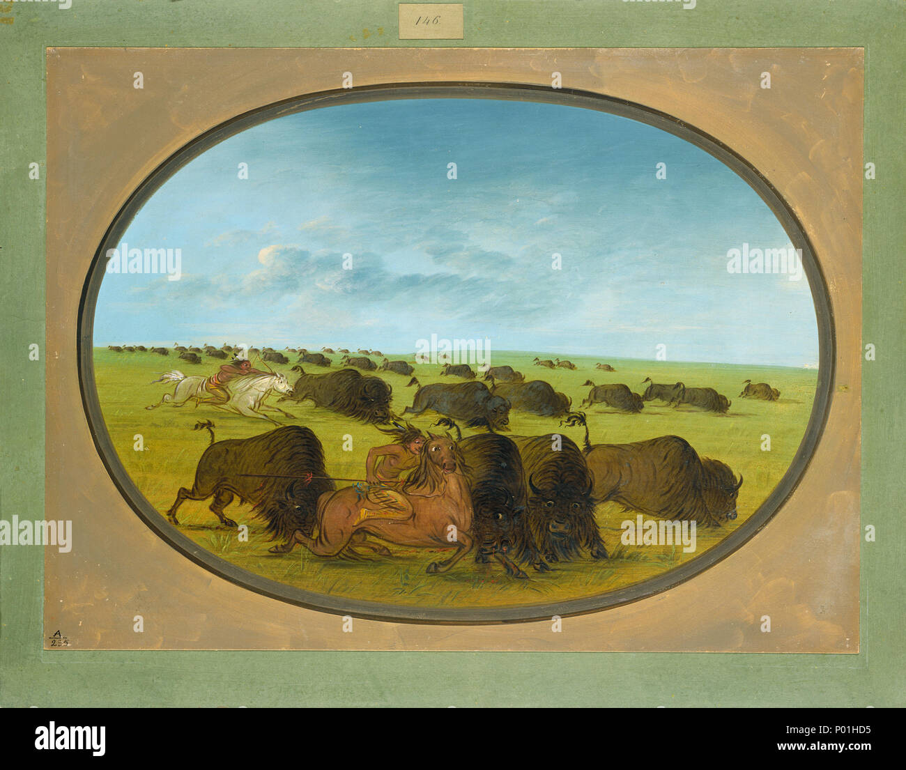 Buffalo chase george catlin hi-res stock photography and images - Alamy