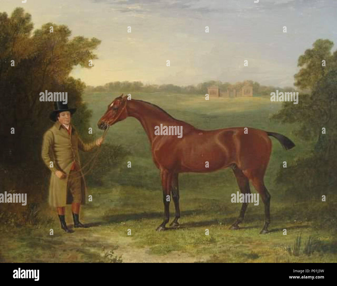 . English: Gohanna, Thoroughbred racehorse and sire. . circa 1795. John ...