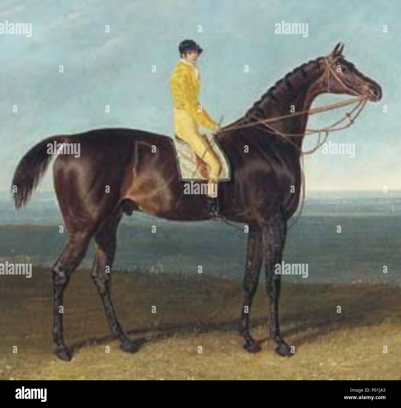 . Jack Spigot, winner of the 1821 St. Leger Stakes . 1821. John F ...