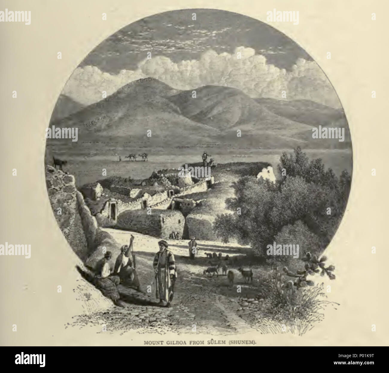 English: Caption: mount gilboa from sûlem (shunem) . Mount Gilboa from ...