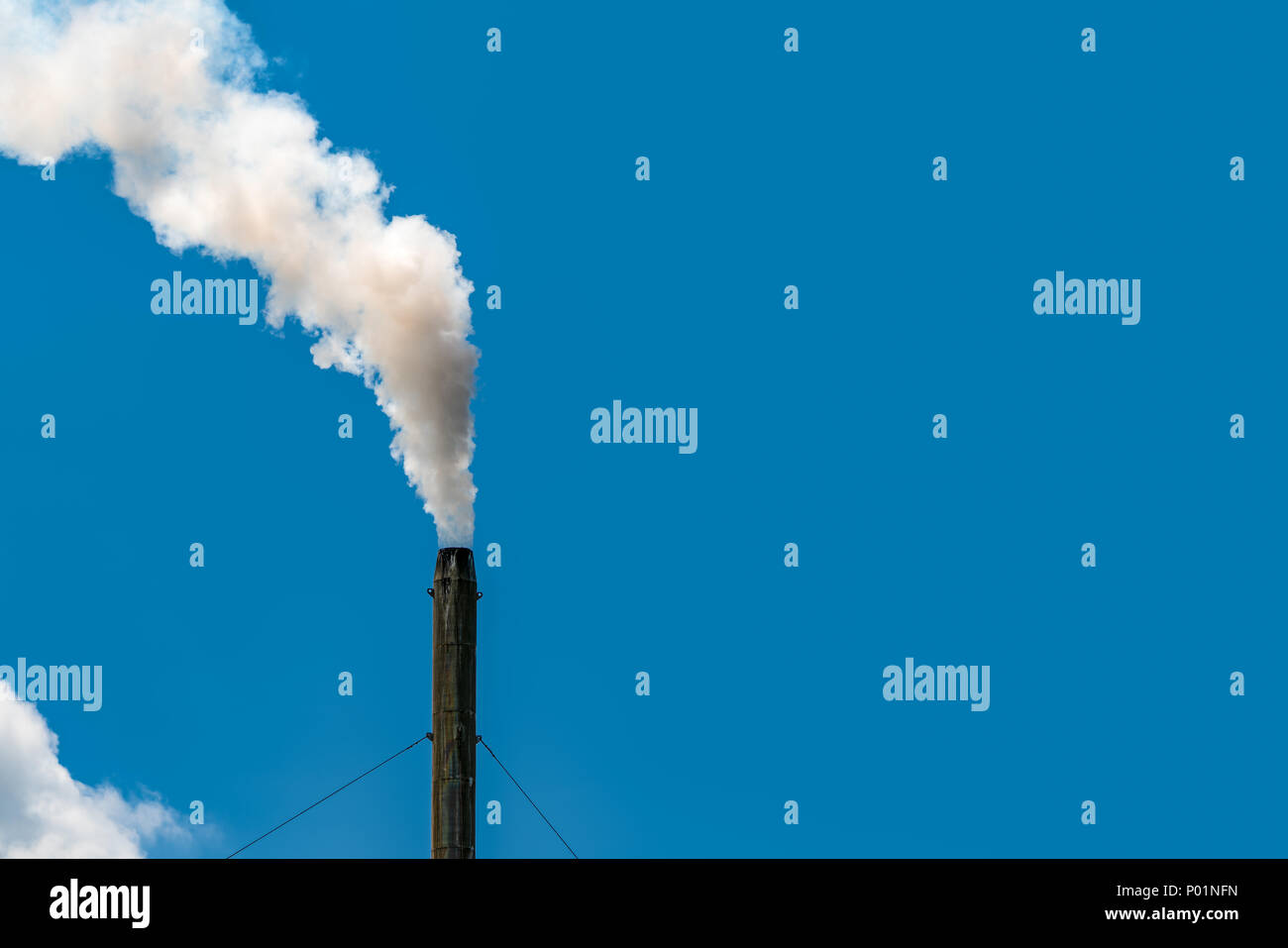 Factory Pollution Effects