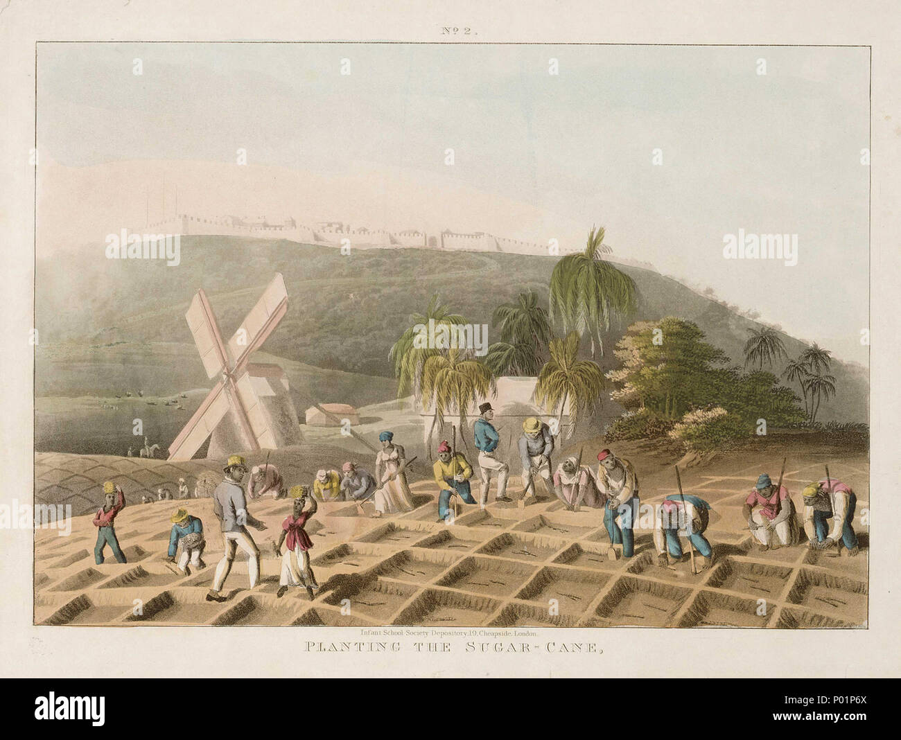 . English: 'Planting the Sugar-Cane' Clark’s image shows nothing of the ...