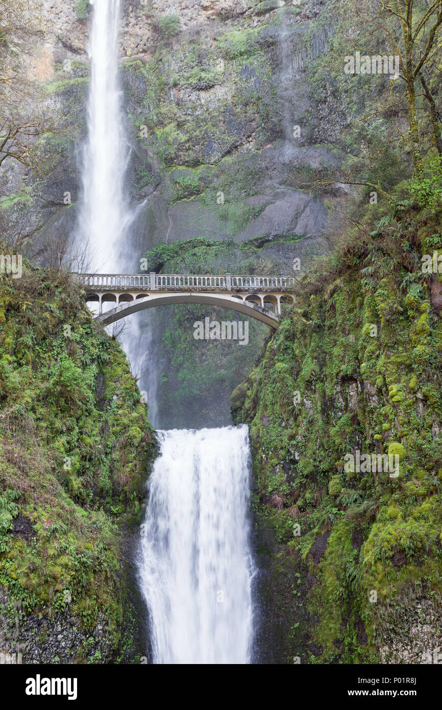 Multnomah Falls in spring flowing behind and under an old viewing ...