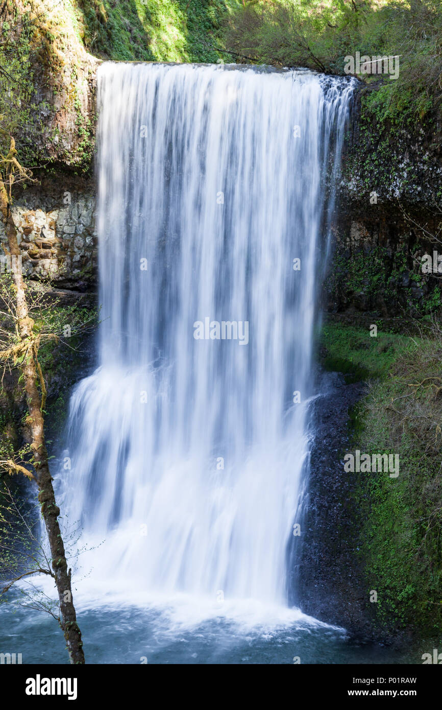 Powerful Lower South Falls cascading over a rock cliff in Silver Falls ...