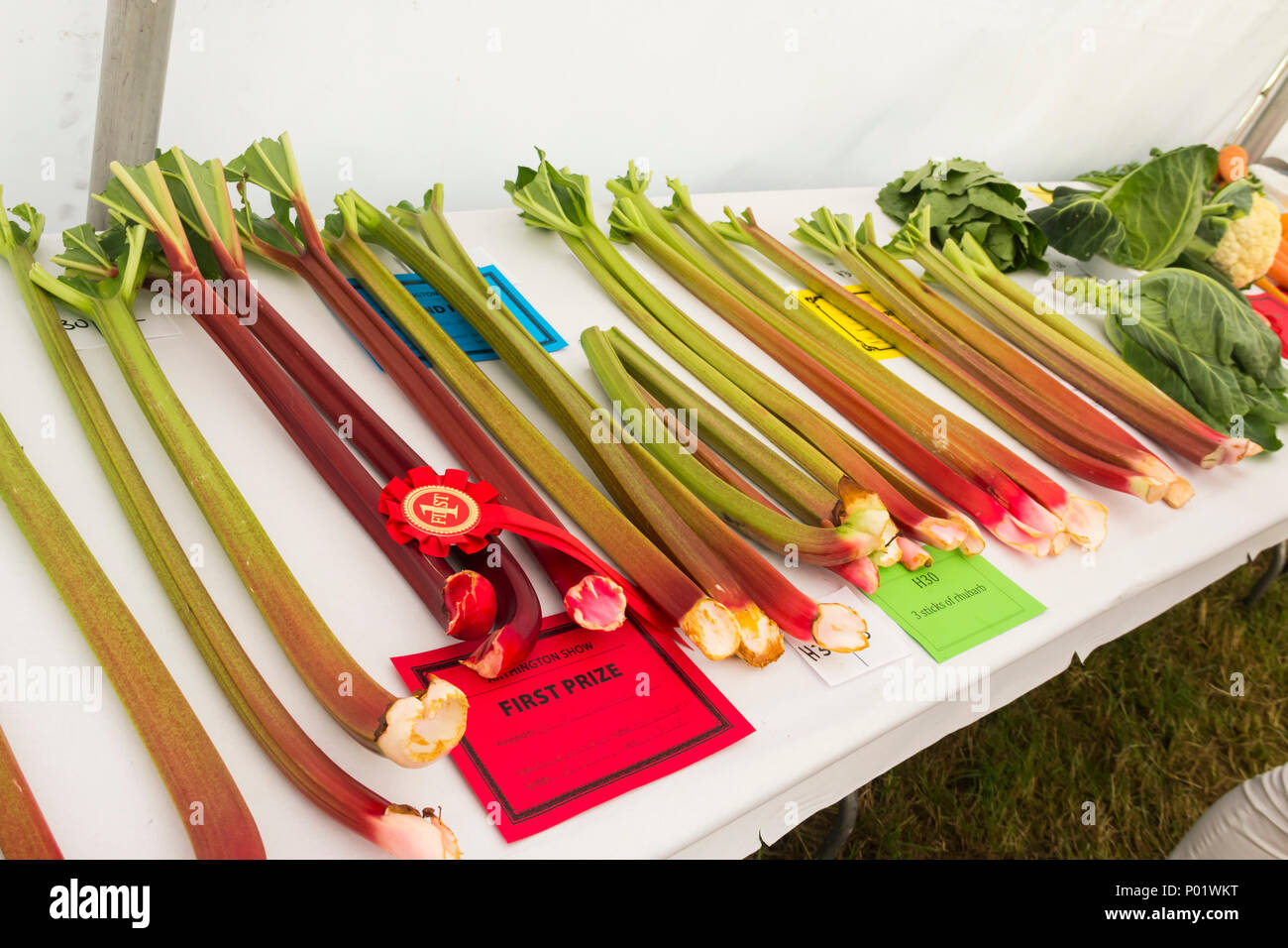 Prize winning rhubarb hi-res stock photography and images - Alamy