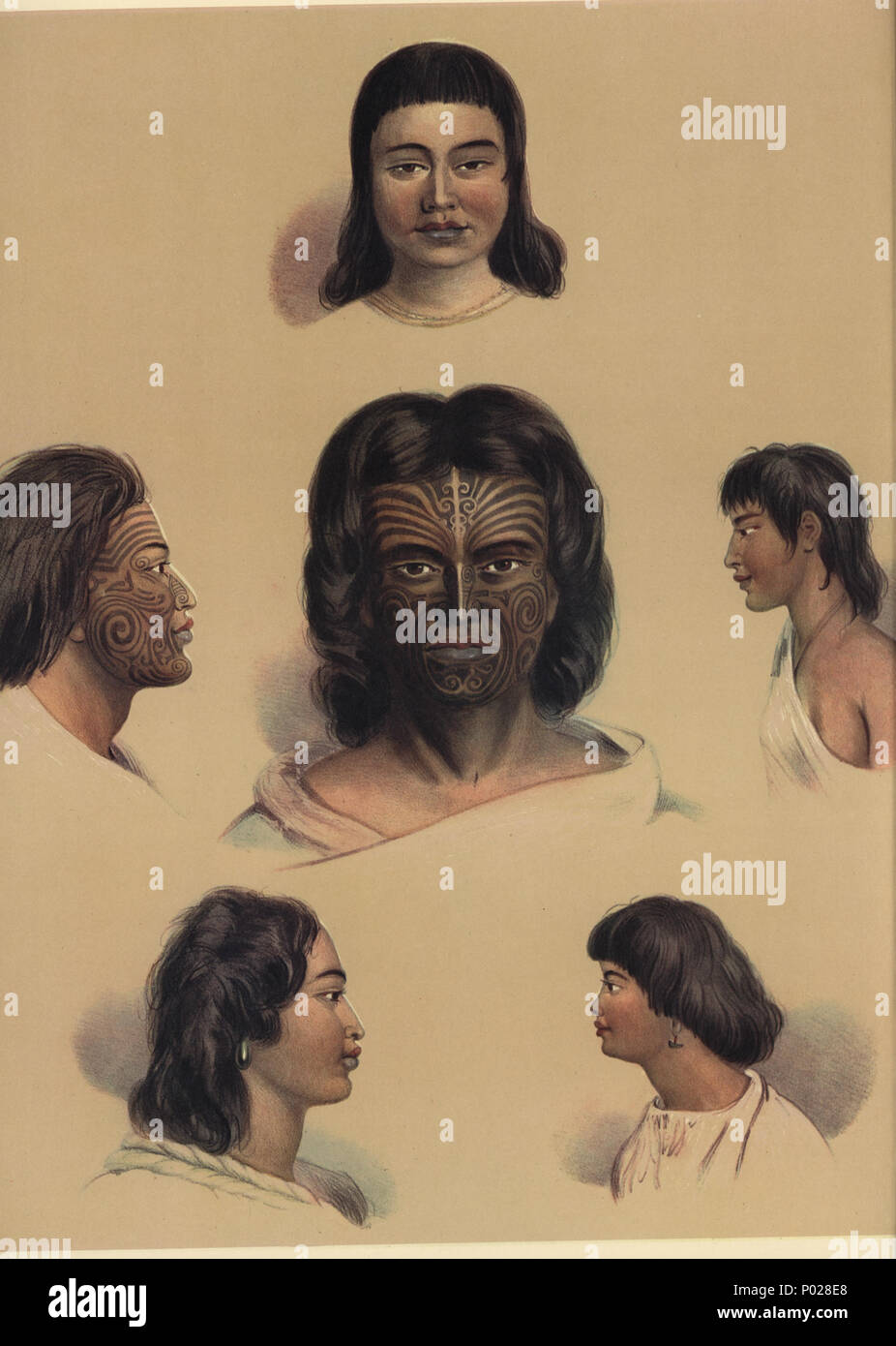 Typical facial markings hi-res stock photography and images - Alamy