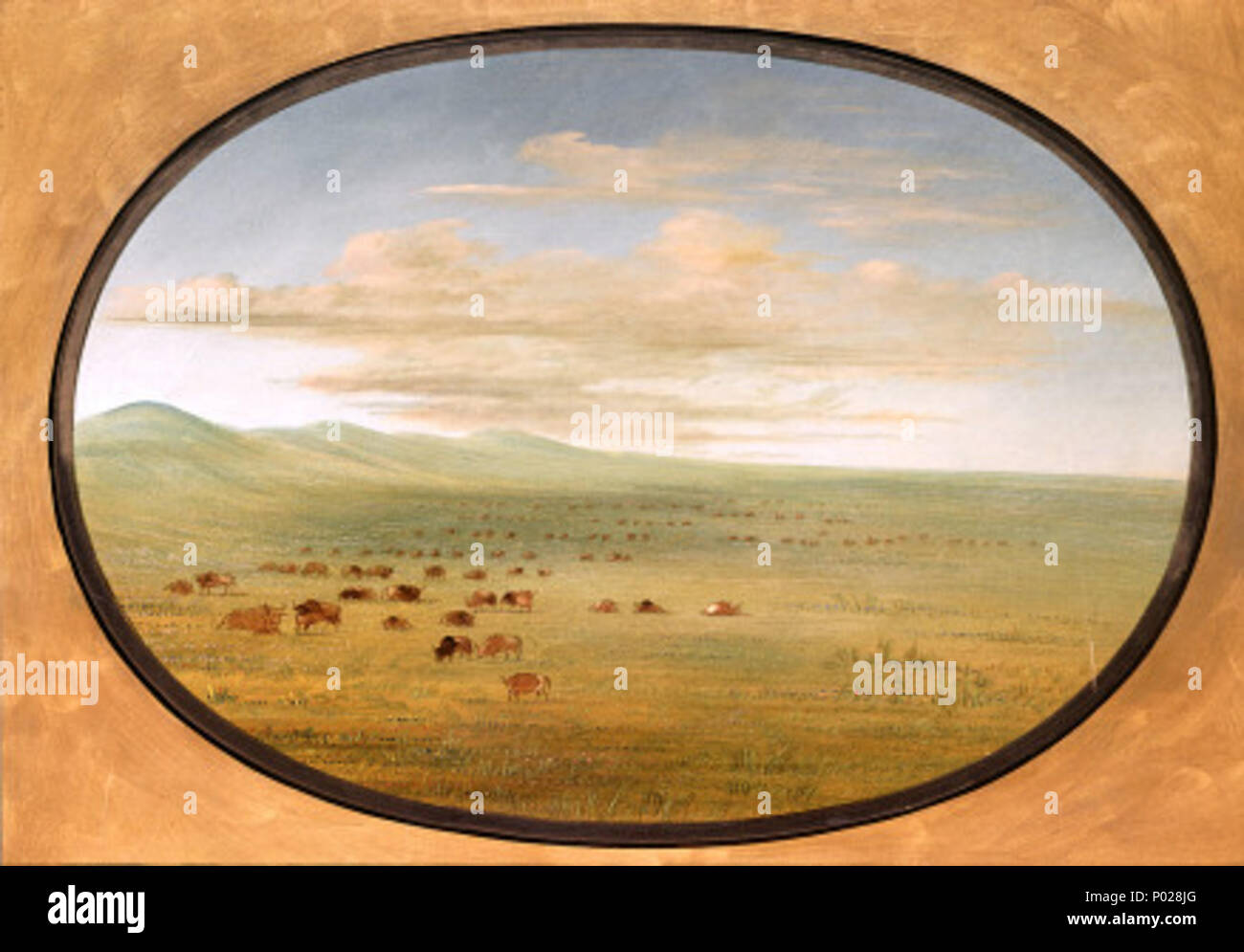Cattle ranches argentina hi-res stock photography and images - Alamy