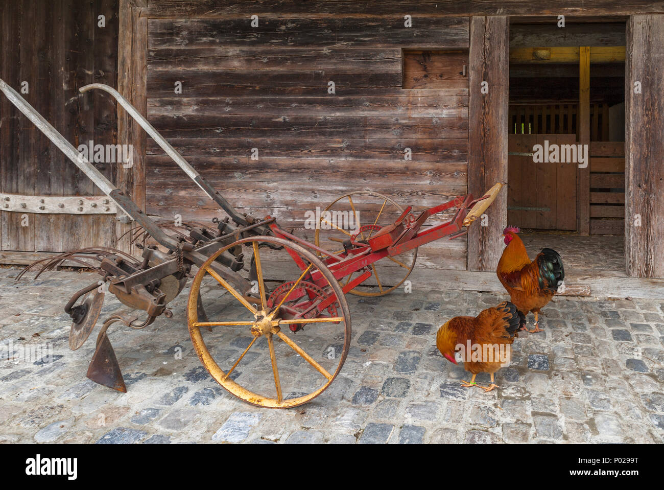 In the countryside yard Stock Photo - Alamy