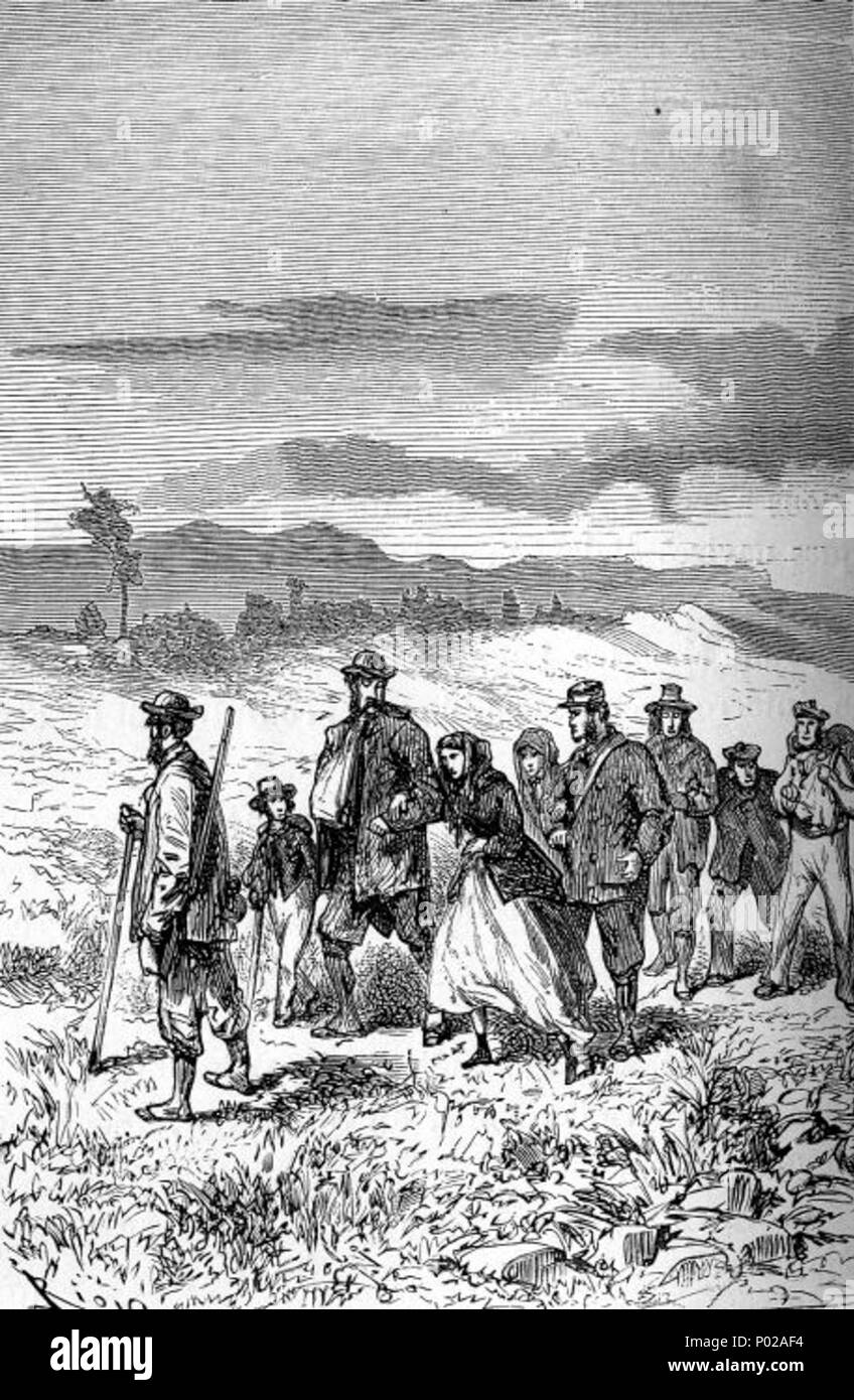 8 'The Children of Captain Grant' by Édouard Riou 128 Stock Photo - Alamy