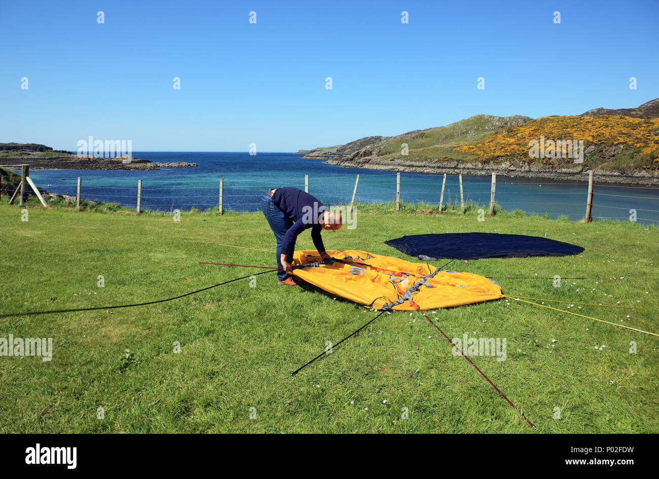 Man erecting a tent at Scourie Campsite in Lairg, Sutherland, Scotland ...