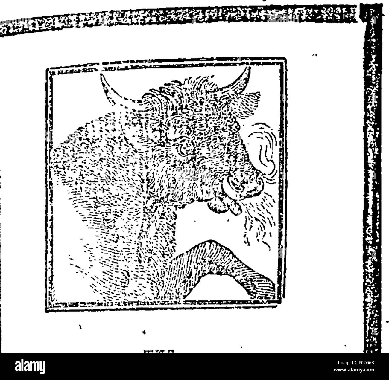 . English: Fleuron from book: A candid examination, of the London ...