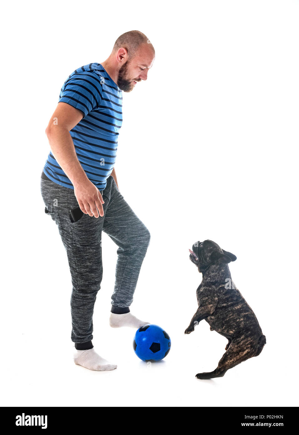 man playing football with his french bulldog in studio Stock Photo - Alamy