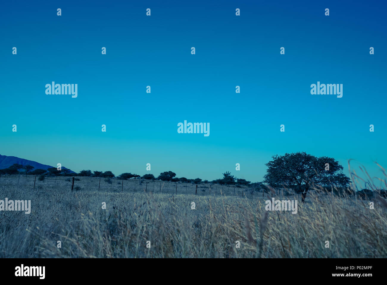 Cross process effect hi-res stock photography and images - Alamy