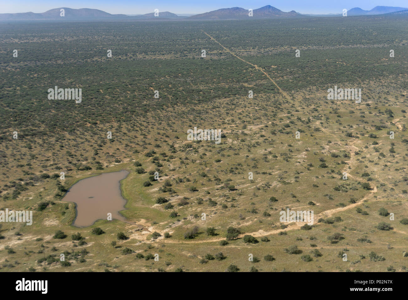 Aerial view Namibian landscape with waterhole,long roads and acacia ...
