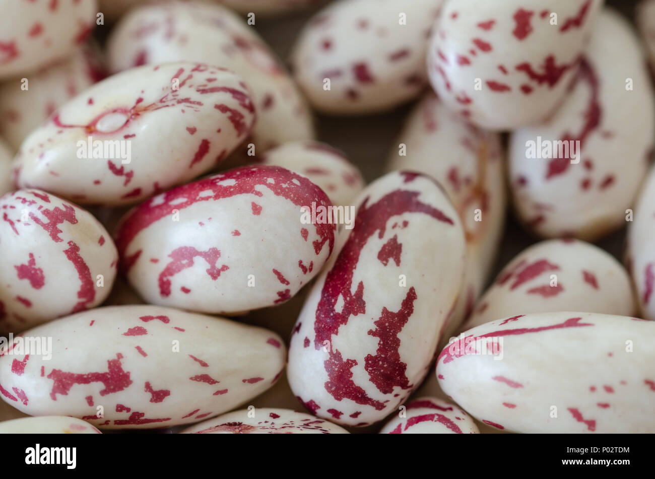 Red kidney bean field hi-res stock photography and images - Alamy