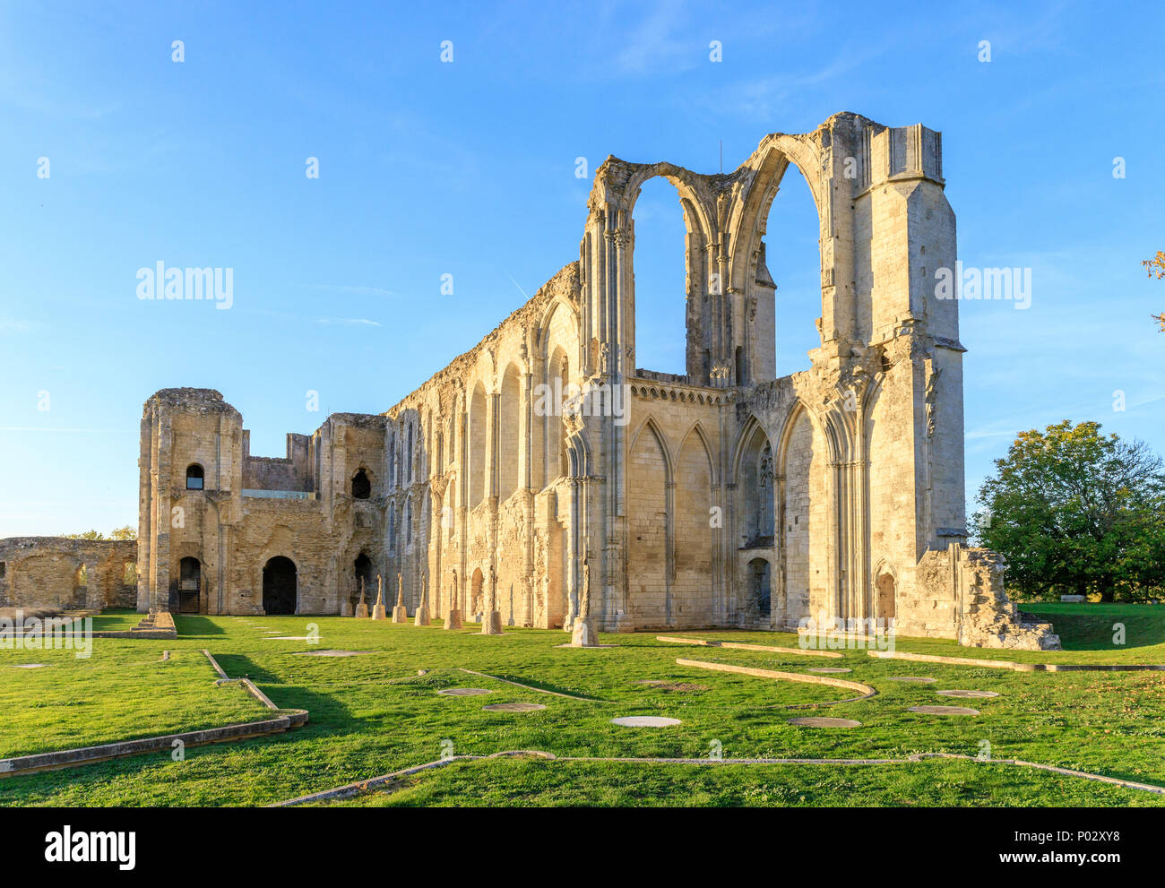 France, Vendee, Parc Interregional du Marais Poitevin labelled Grand ...