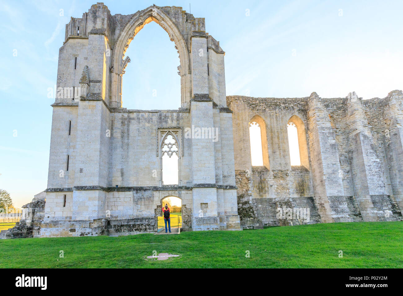 France, Vendee, Parc Interregional du Marais Poitevin labelled Grand ...