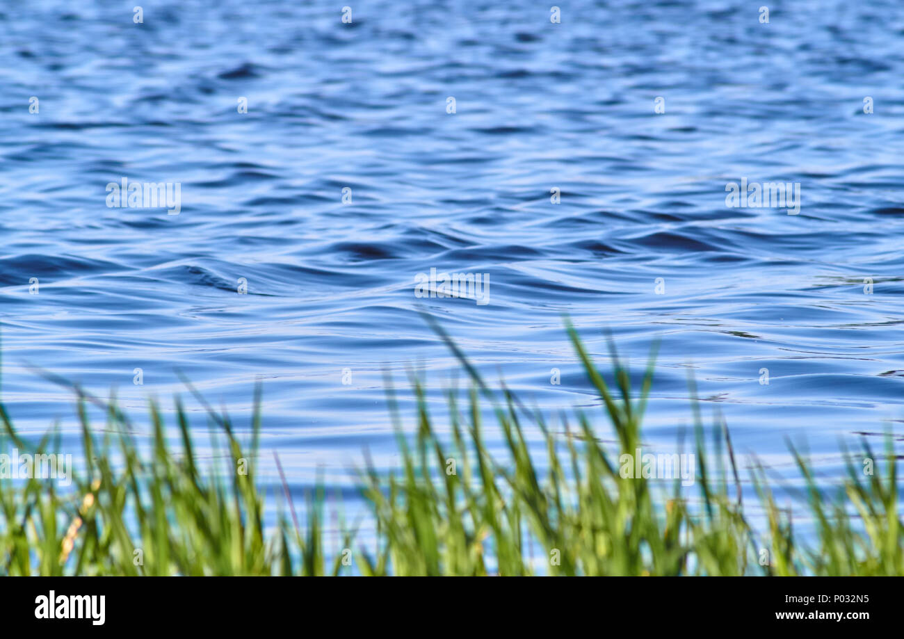 Nature motion background hi-res stock photography and images - Alamy