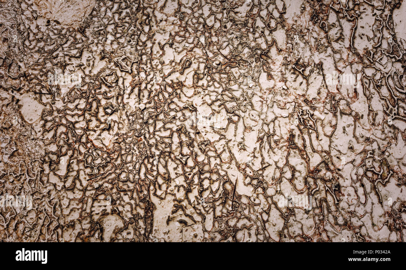 Ivy curves hi-res stock photography and images - Alamy