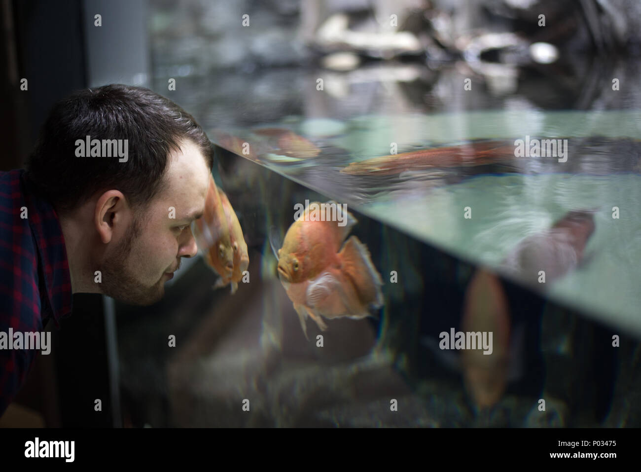 Side view of man looking at fishes in oceanarium center. Horizontal ...