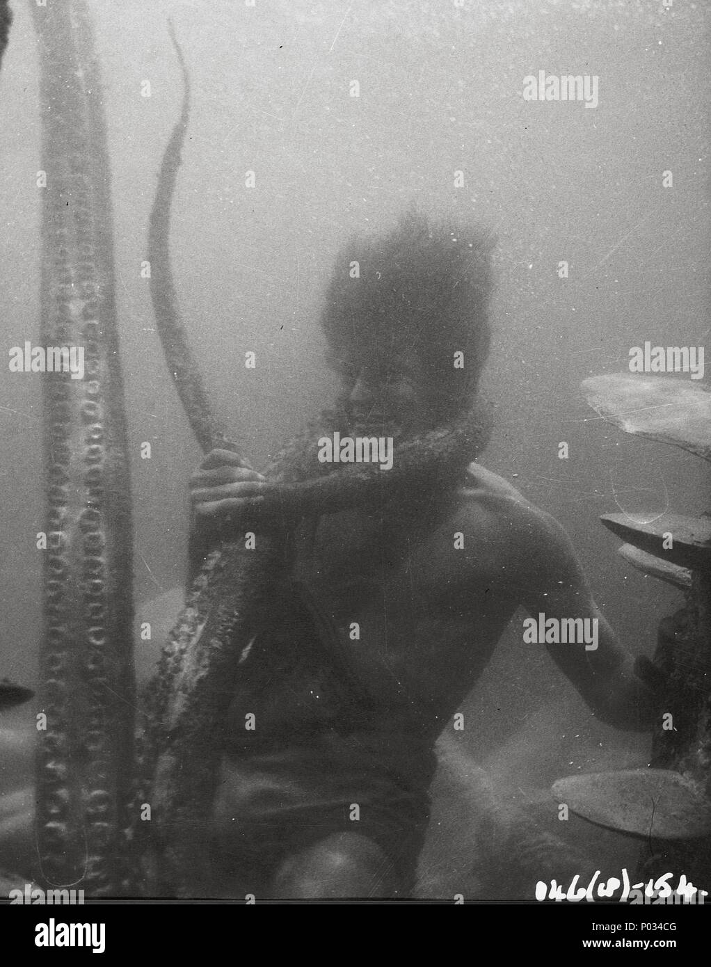 Original Film Title: THE BLUE LAGOON. English Title: THE BLUE LAGOON ...