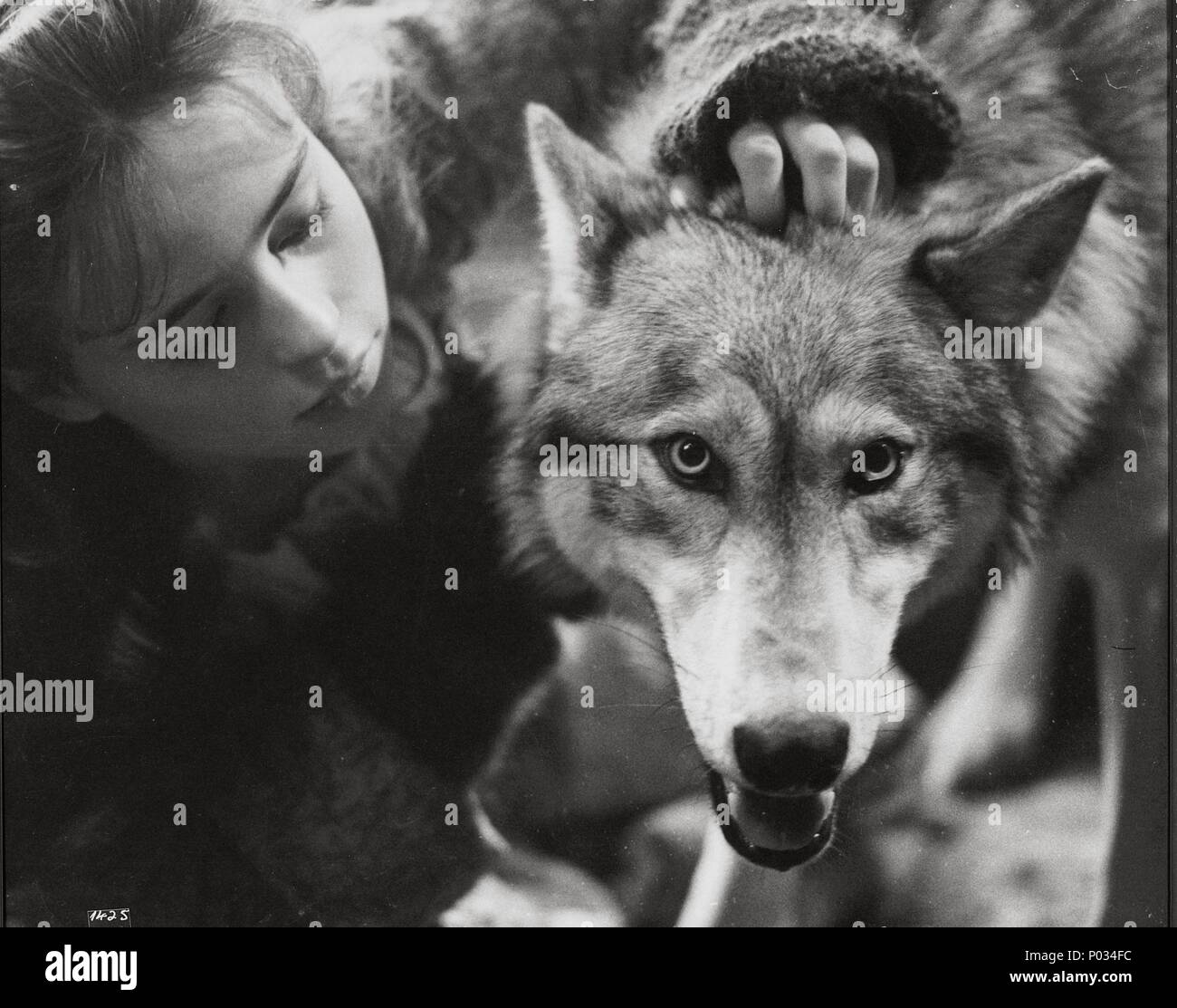 Original Film Title: THE COMPANY OF WOLVES. English Title: THE COMPANY ...