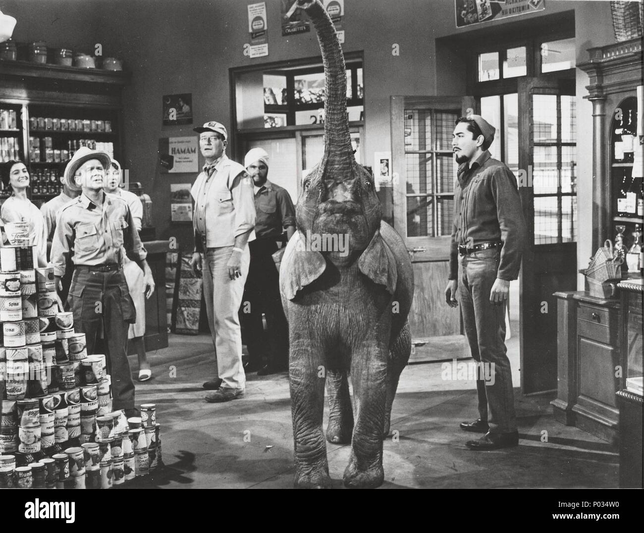 Original Film Title: HATARI!. English Title: HATARI!. Film Director ...