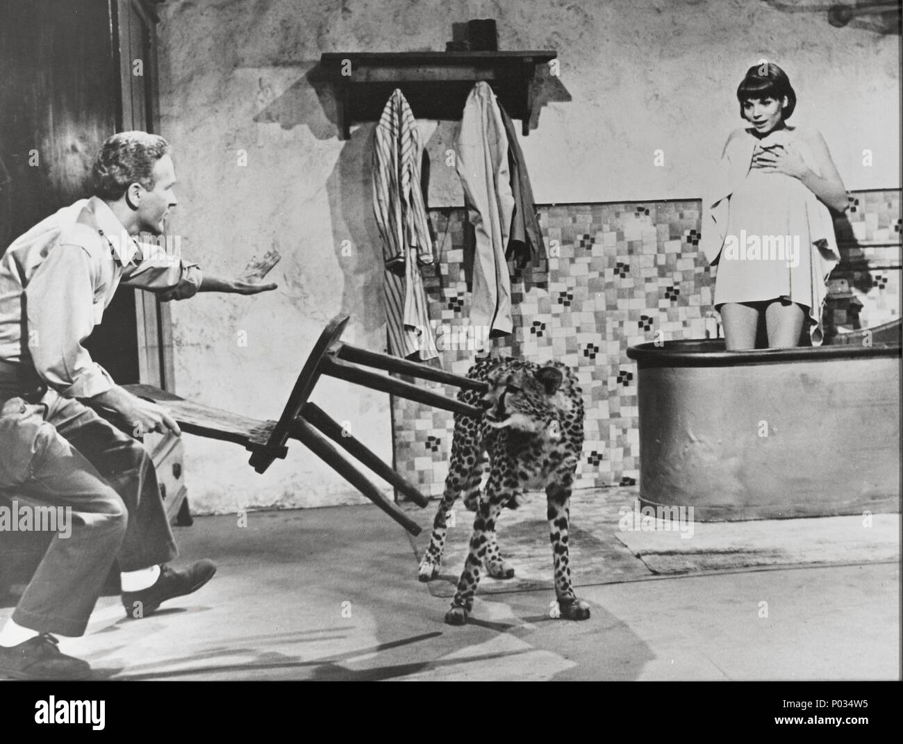 Hatari 1962 hi-res stock photography and images - Alamy