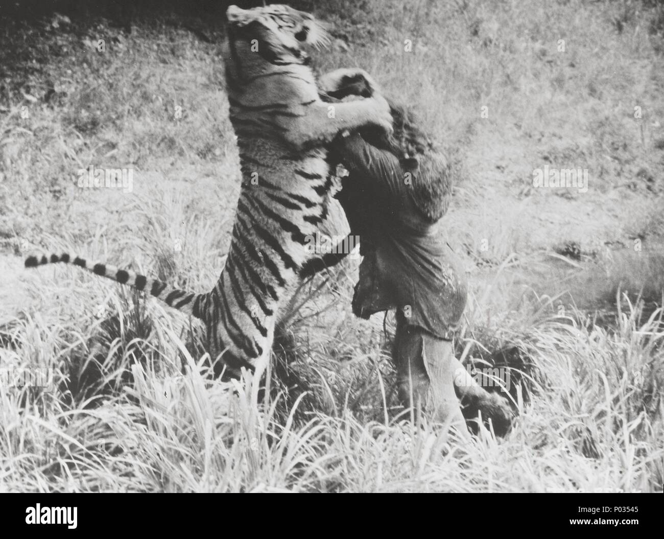 Original Film Title: ISLAND OF DR. MOREAU, THE. English Title: ISLAND ...