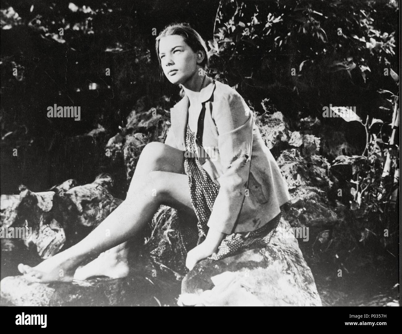 Key meersman hi-res stock photography and images - Alamy