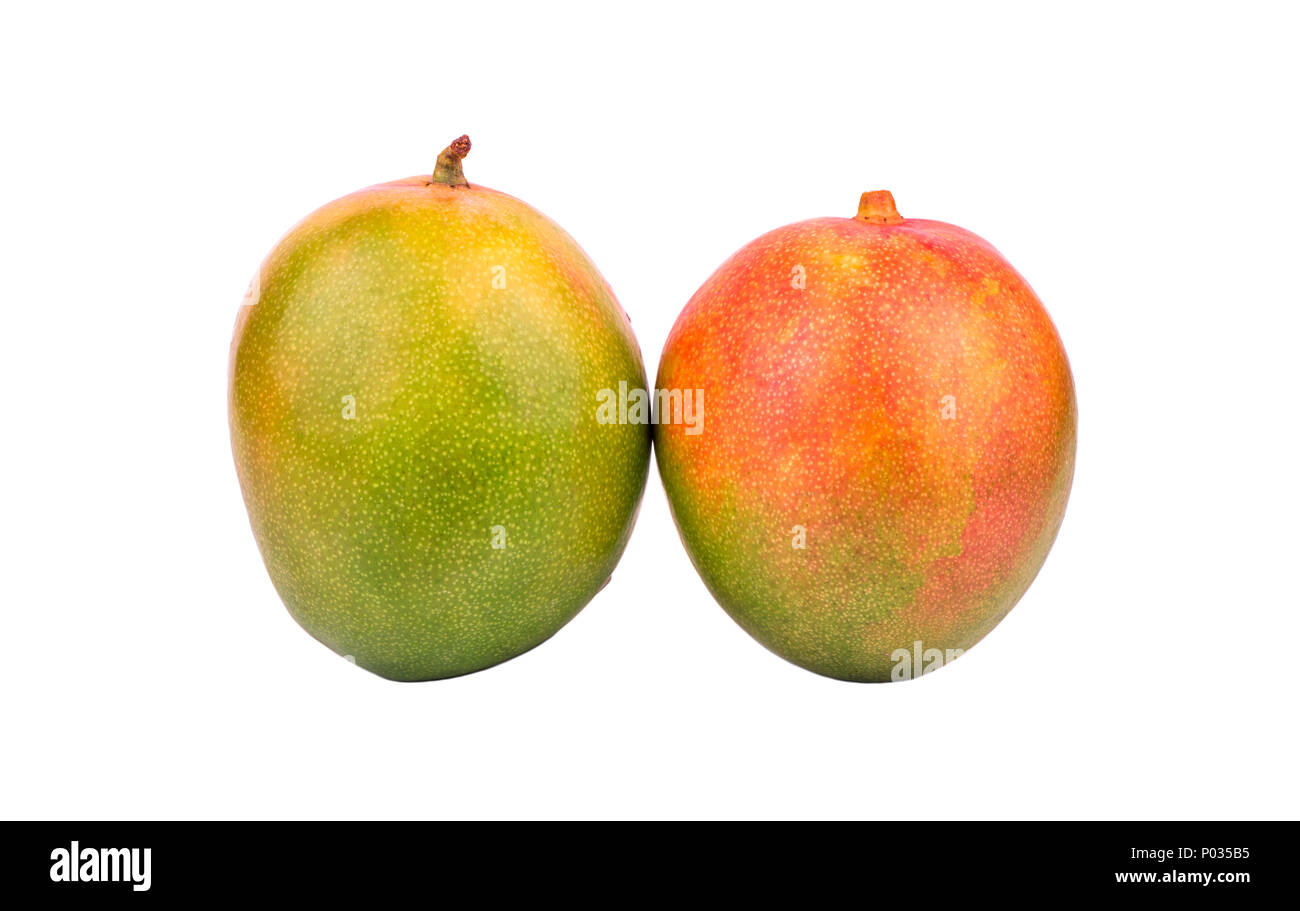 Two fresh different colored mango fruit isolated on a white background ...