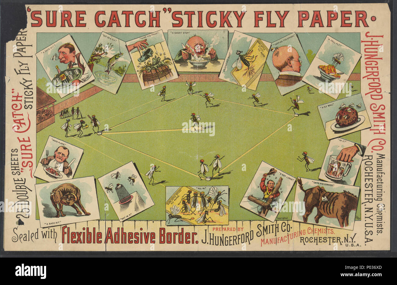 Sticky fly paper hi-res stock photography and images - Alamy