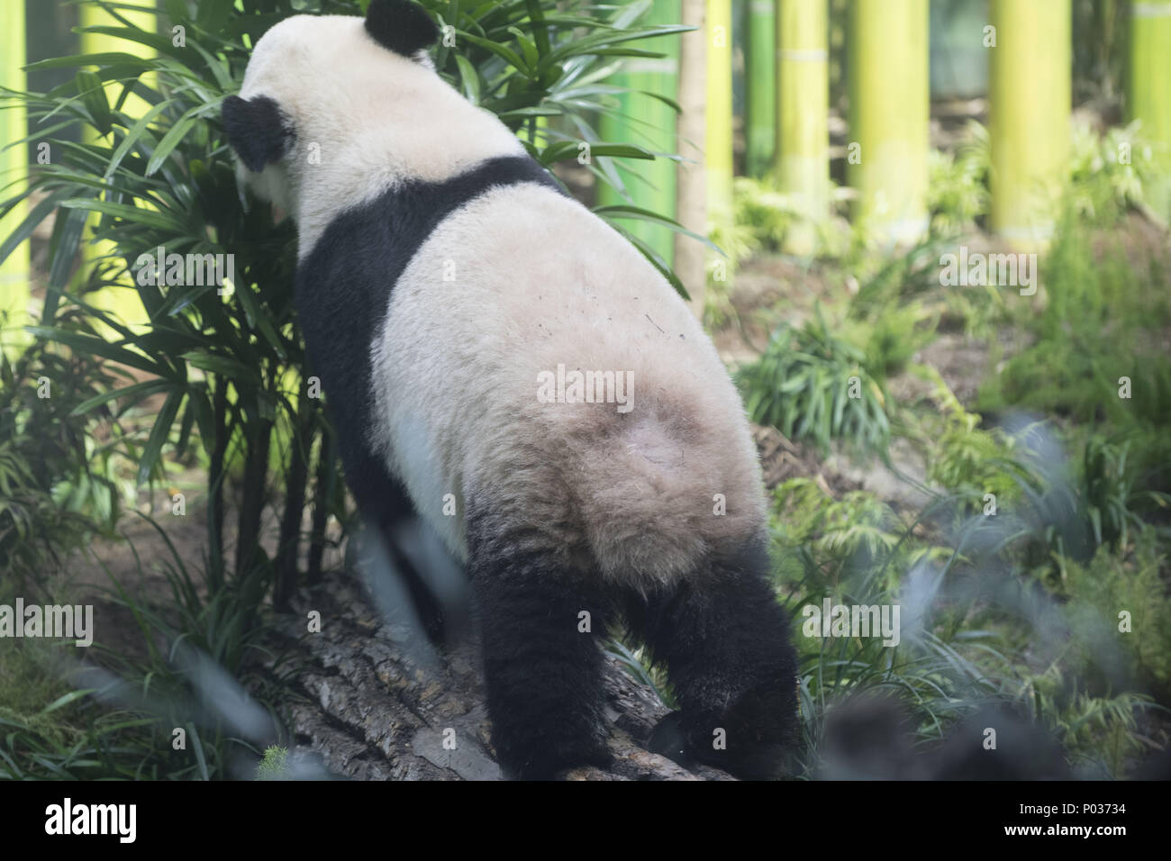 Join celebration hi-res stock photography and images - Alamy