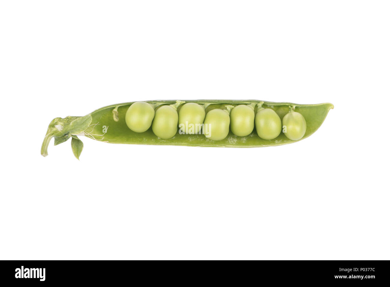 Open green pea pod isolated on white background Stock Photo - Alamy