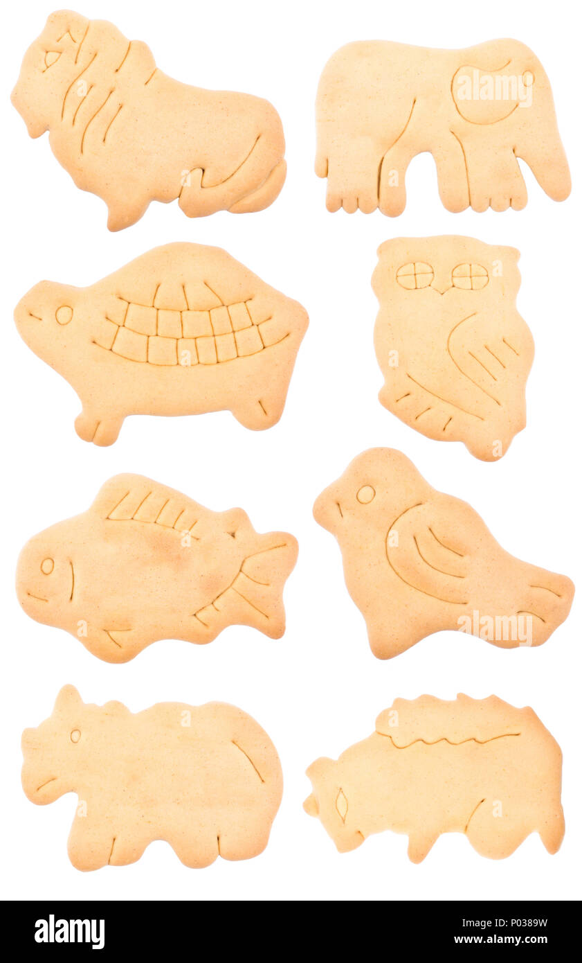 Sweet cookies in the form of various animals isolated on white ...