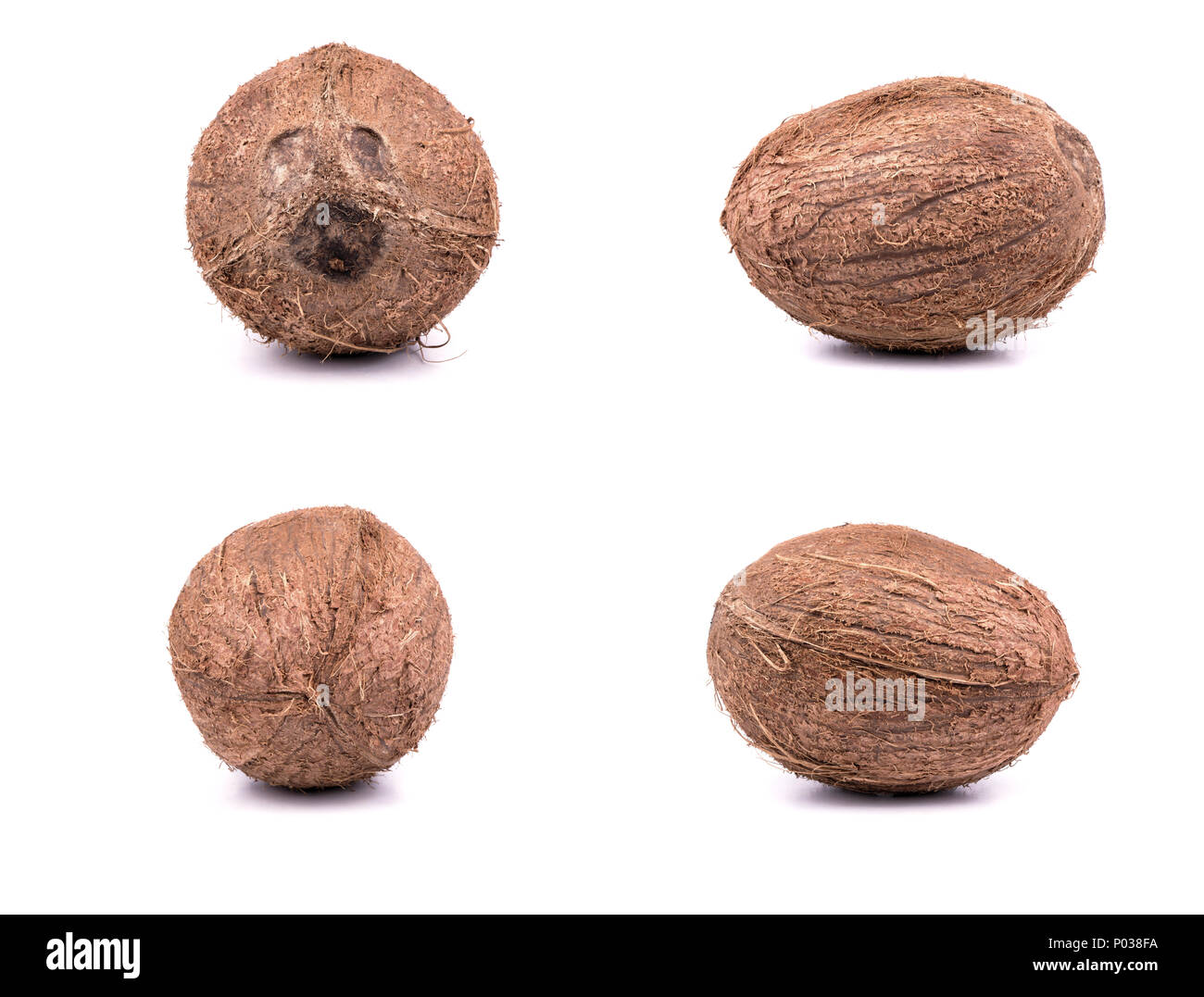 Collection of four coconuts in different positions on a white ...