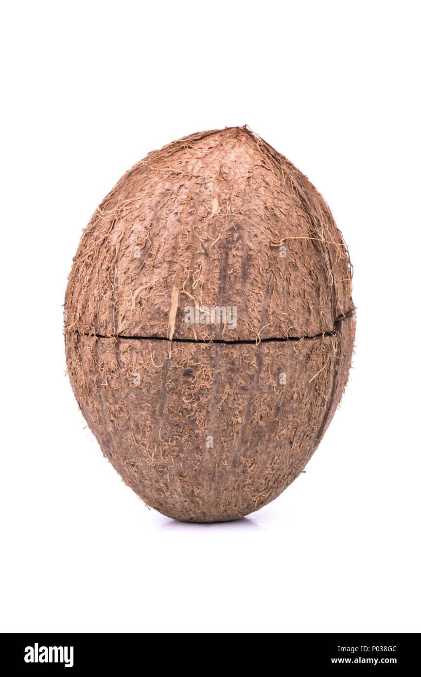 Coconut split in half isolated on a white background Stock Photo - Alamy