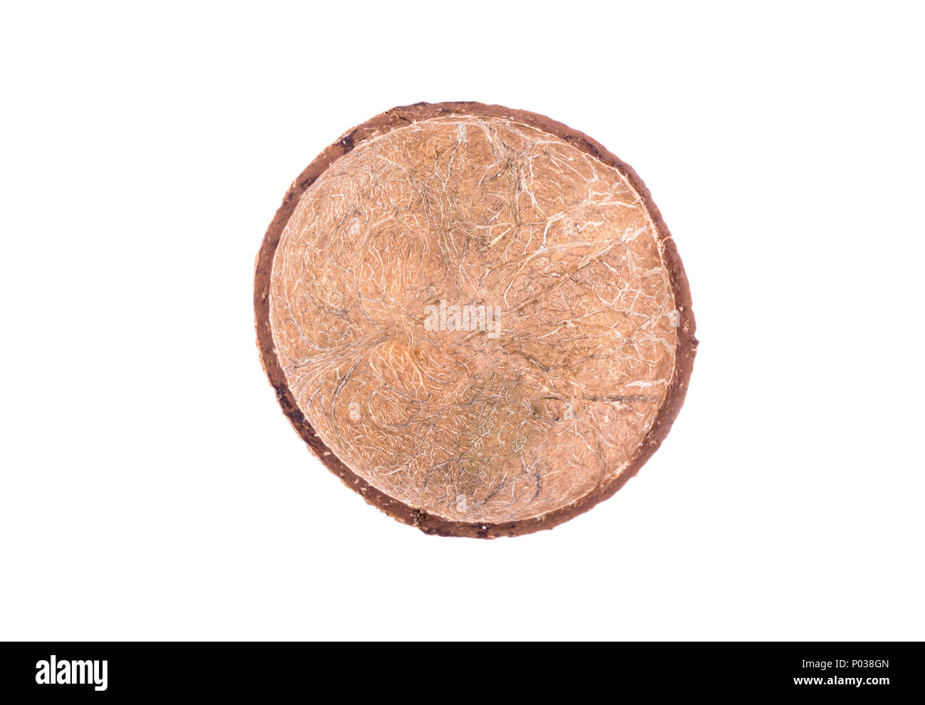 Half coconut shell top view on a white background Stock Photo - Alamy